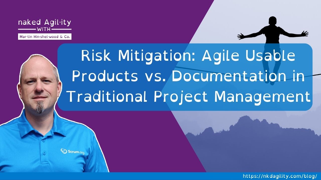 Risk Mitigation: Agile Usable Products vs Documentation in Traditional Project Management ...